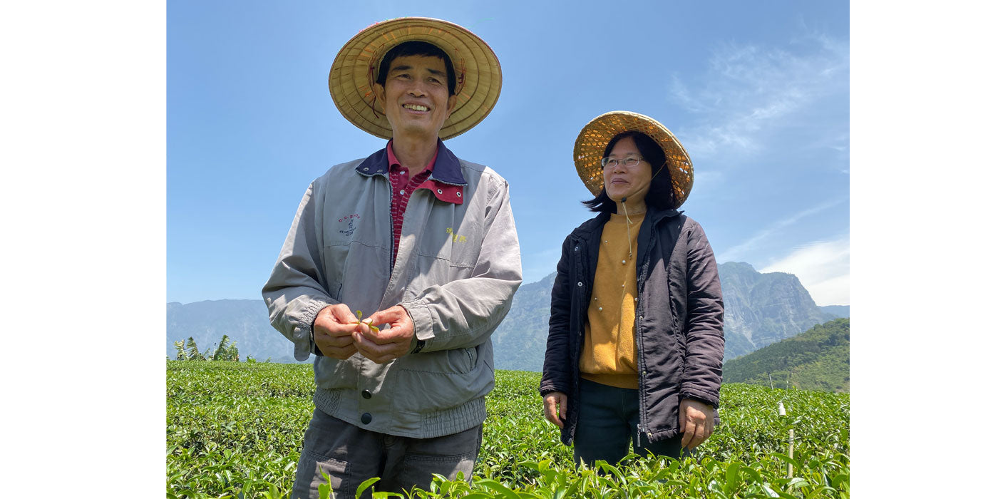 Four Seasons Collections – Formosan Farms
